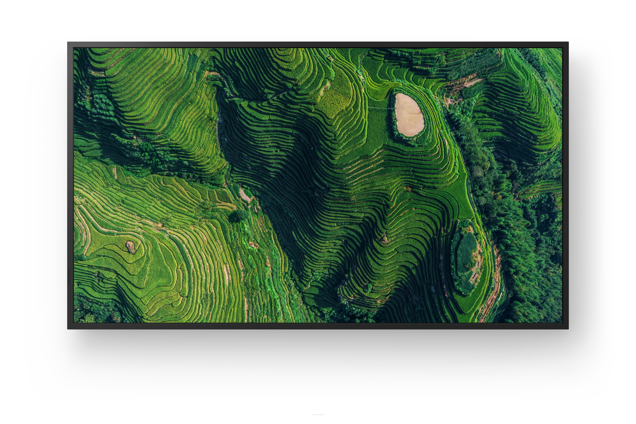 SONY FW-50BZ35P Monitor profesjonalny 4K HDR Wyraźny obraz bez ...
